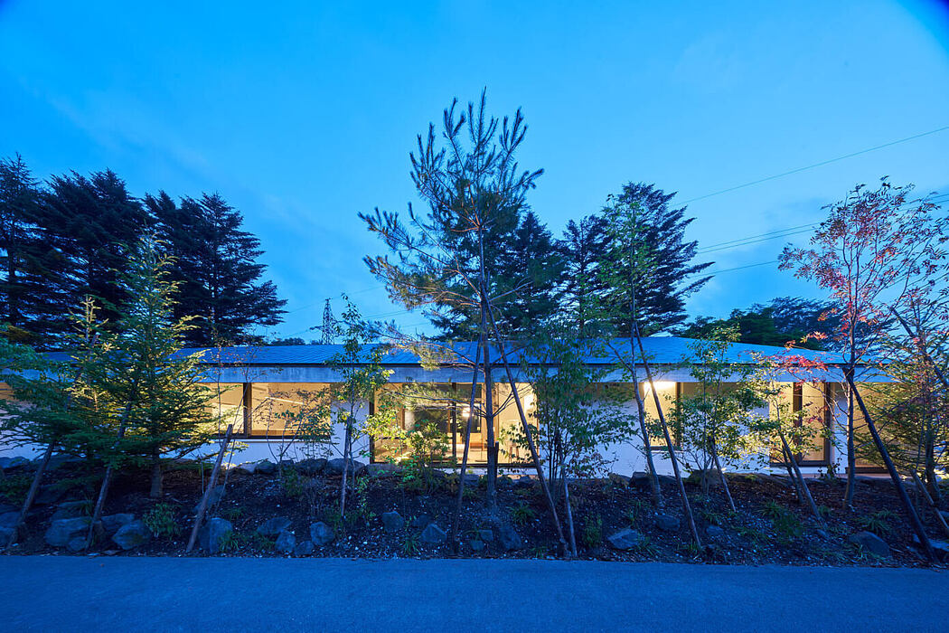 Symbiotic House by R.E.A.D. & Architects | HomeAdore