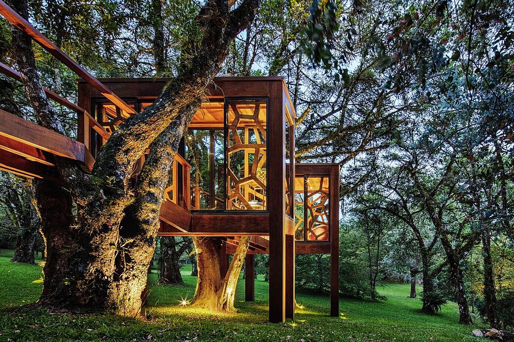 Treehouse: Where Brazilian Wilderness Meets Modern Luxury | HomeAdore