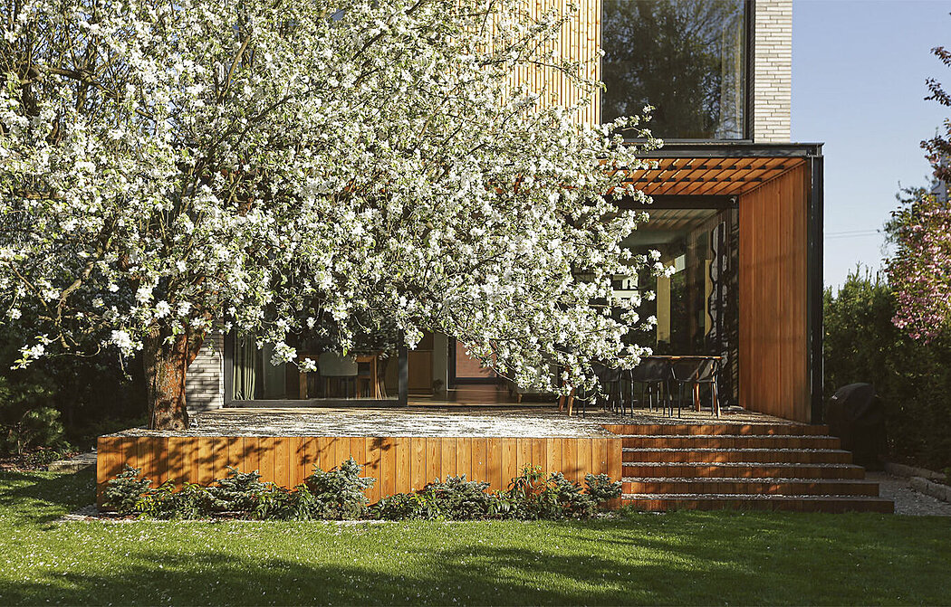 The Apple House: Transforming Challenges into Architectural Beauty ...