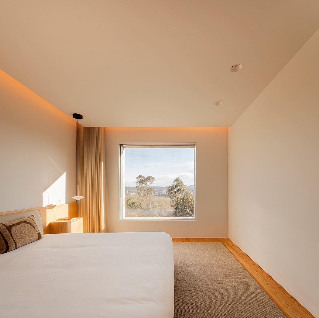 SV House: Contemporary Concrete Design for Rural Living
