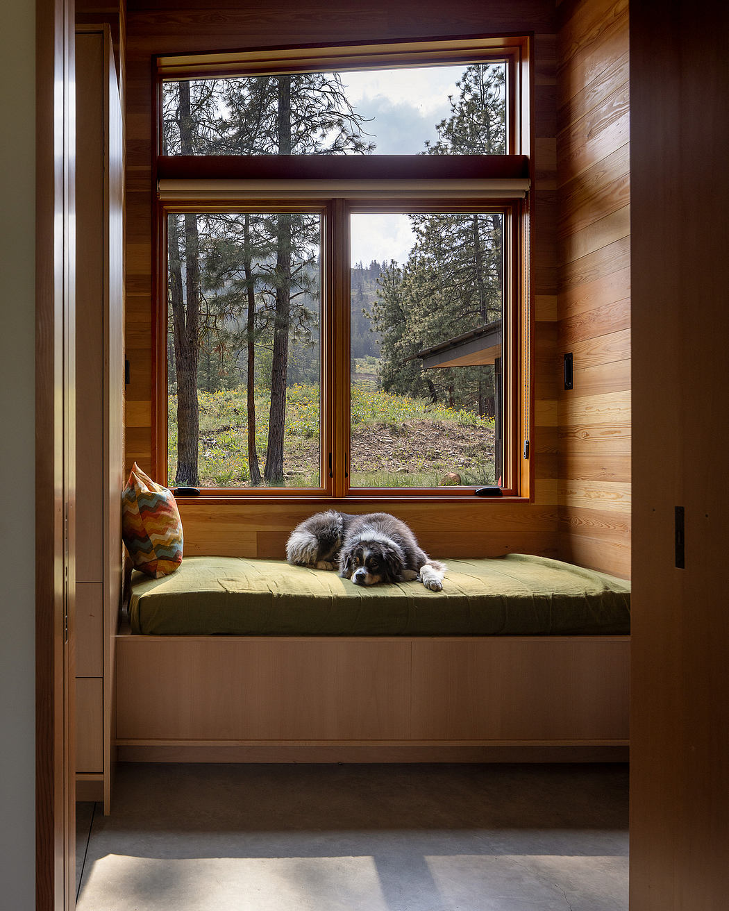 Wildflower House: Integrating Modern Design with Nature